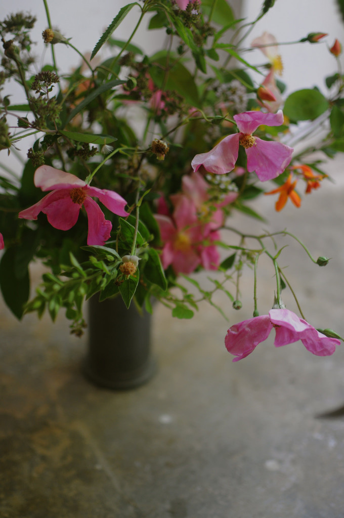 Flowers + Rainstorms - frolic!