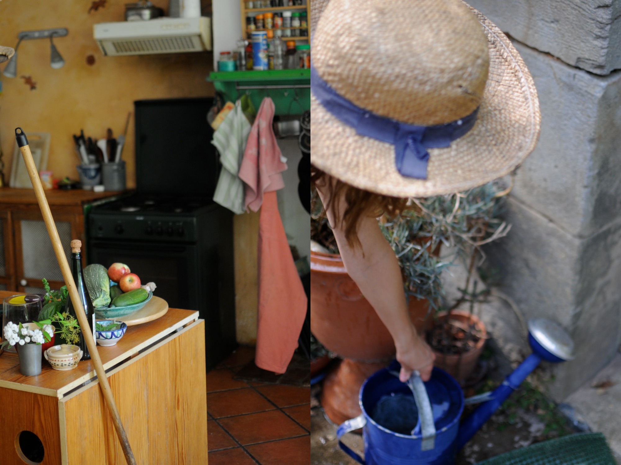 French Vegetable Garden - frolic!