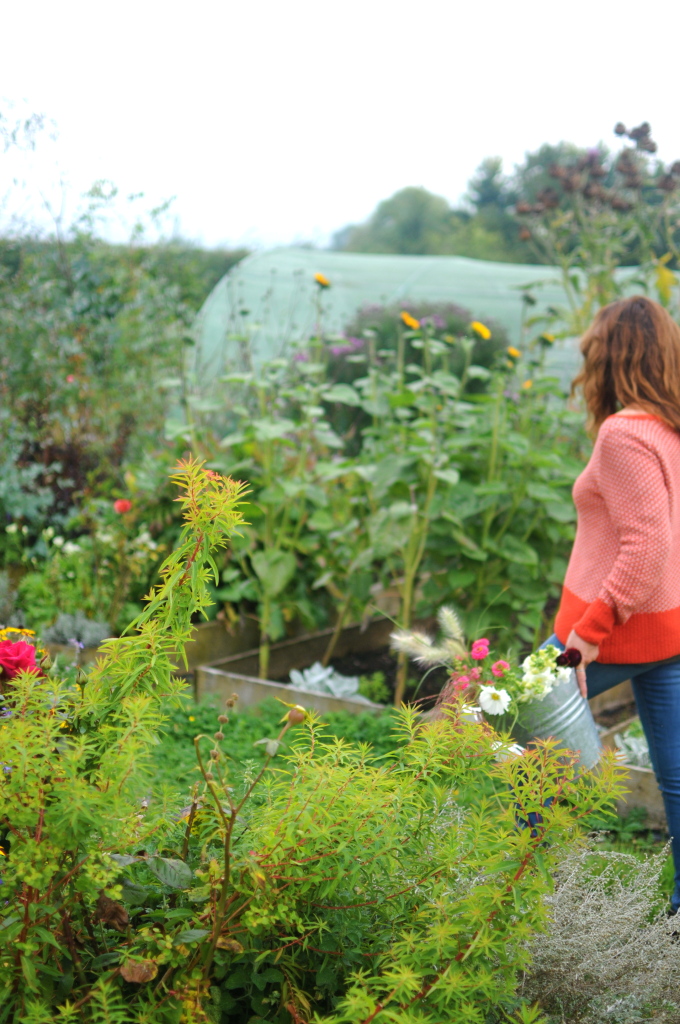 Tour an English Flower Farm - frolic!