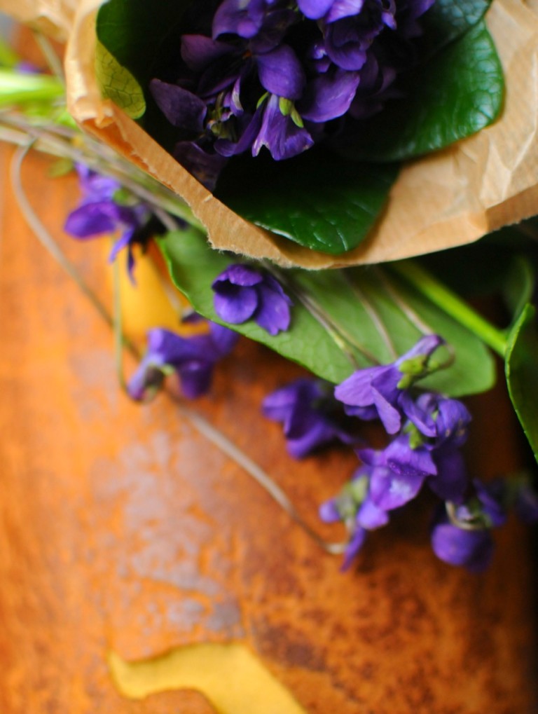 Frolic! Flower School: All About Violets - frolic!