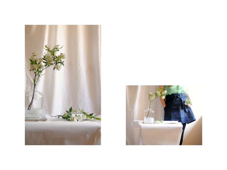 How to Cut Woody Spring Stems - frolic!