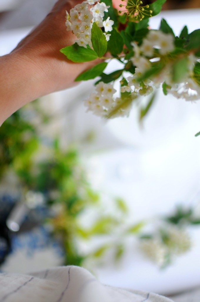 How to Cut Woody Spring Stems - frolic!