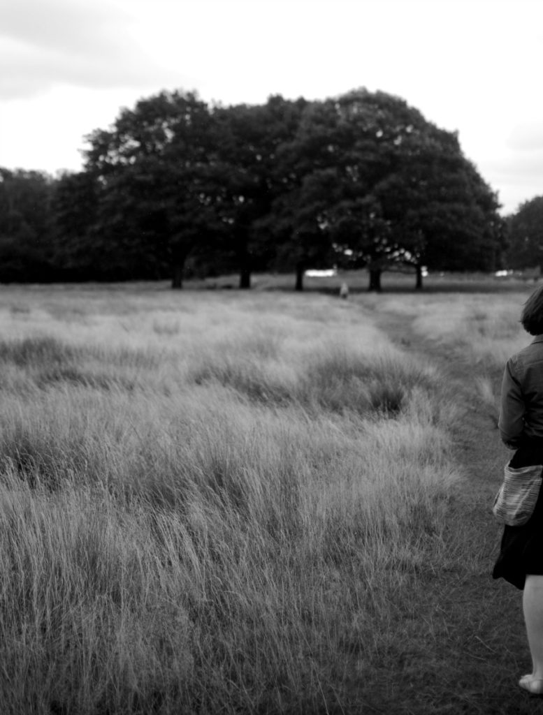 Autumn in the English Countryside - frolic!